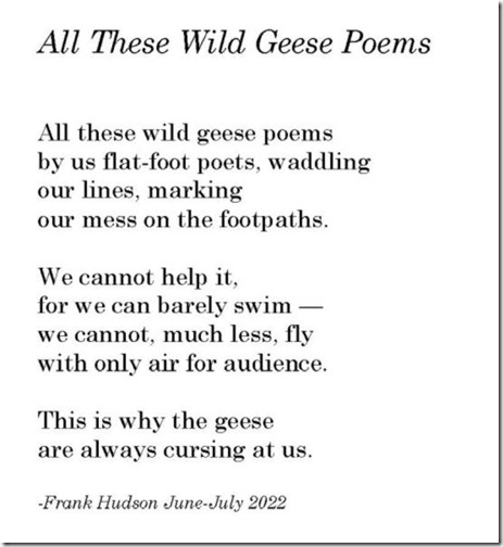 All These Wild Geese Poems – and how one of my music pieces migrates ...